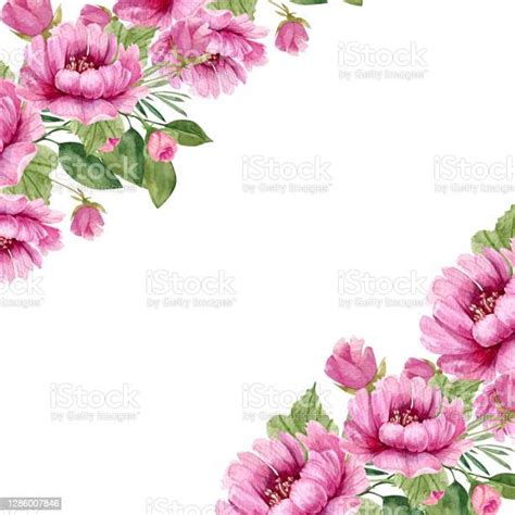 흰색 배경에 섬세한 꽃 핑크 모란 수채화 그림프레임 테두리 웨딩 초대장 장식 및 디자인을 위해 손으로 그린 0명에 대한 스톡 벡터 아트 및 기타 이미지 Istock