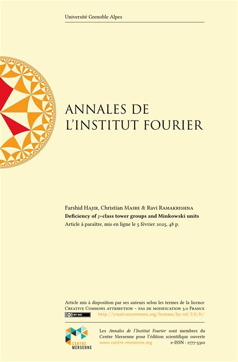 pdf deficiency of p class tower groups and minkowski units