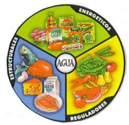 Conociendo Los Alimentos Clasificacion De Los Alimentos Segun Su Funcion