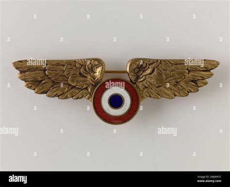 War 1939 1945 Winged French Tricolor Cockroach Brooch Enamelled Metal