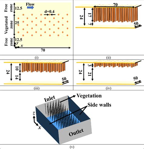 Schematic Diagrams For Numerical Simulation I Top View Of The Download Scientific Diagram