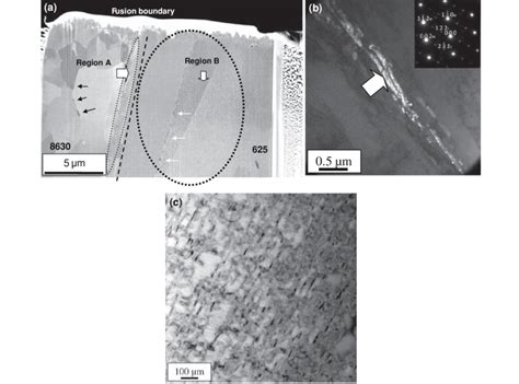 A An Sem Se Image Using The In Lens Detector Showing The Download Scientific Diagram