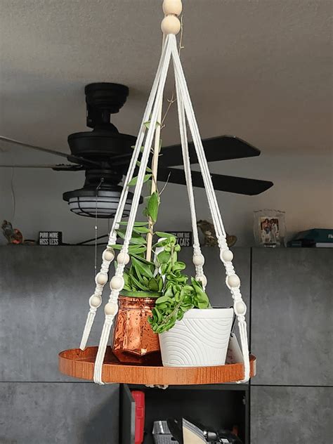 Has Anyone Used Super Trellis Recently It Seems Really Cool But My