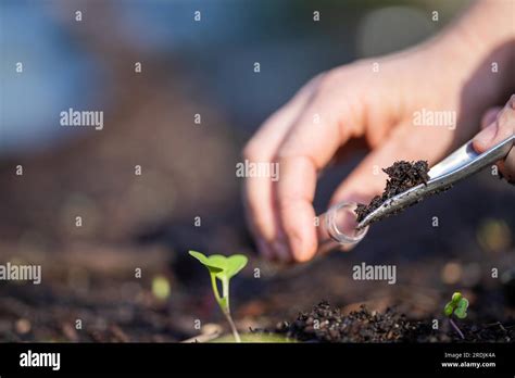 Taking A Soil Sample For A Soil Test In A Field Testing Carbon Sequestration And Plant Health