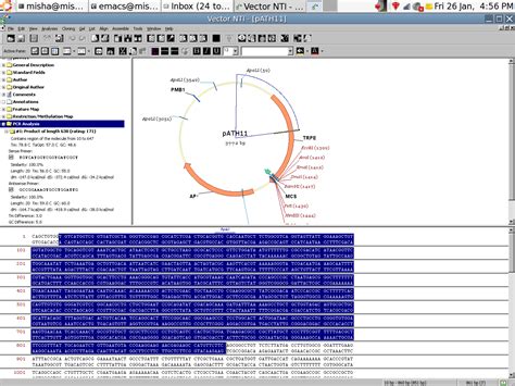 Will Vector Nti Advance 10 Run On Mac Or Linux Codeweavers