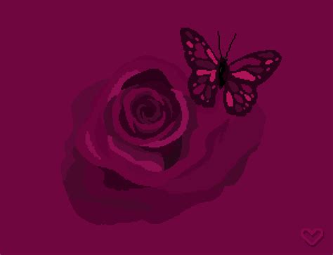 Aesthetic Zones Gallery Pixilart