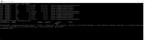 After Recreating Docker Image Web Ui Not Visible Troubleshooting Dietpi Community Forum