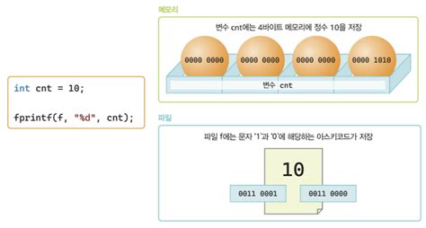 C언어로 배우는 프로그래밍 기초 13주차