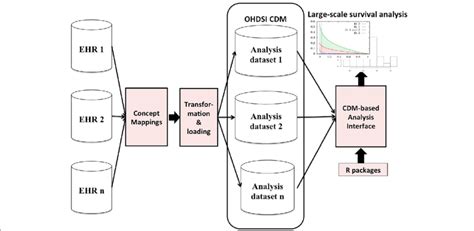 The Ohdsi Cdm Based Generic Survival Analysis Framework Download Scientific Diagram