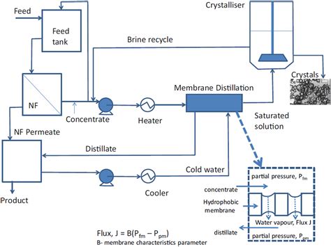 Crystallization Process Diagram