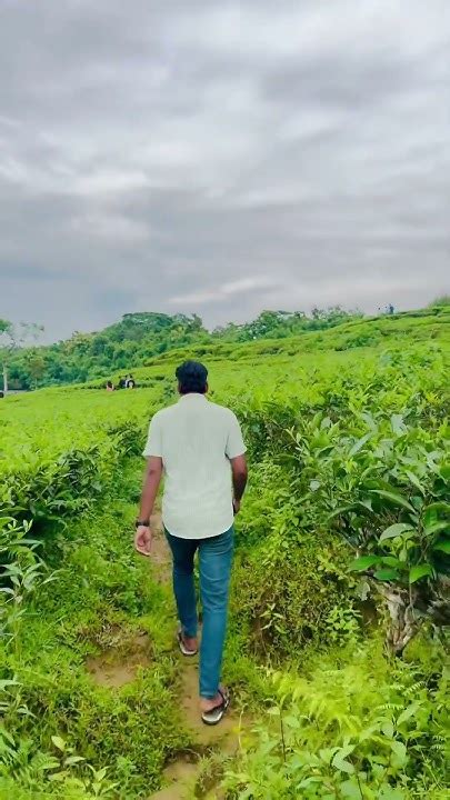 Cha Bagan Sylhet Youtube