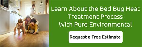 Can You Kill Bed Bugs In The Dryer