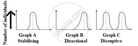 Natural Selection Graph