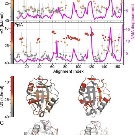 Structural Features Of Ppib And Ppia A D The Pdb Entries Used Are