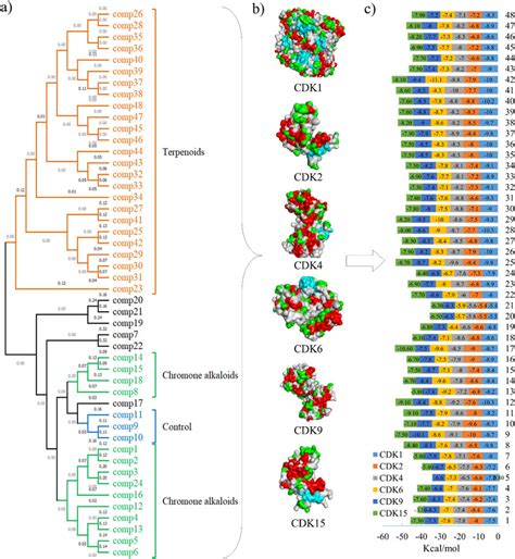 Molecular Docking Of D Binectariferum Compounds With Cdks A