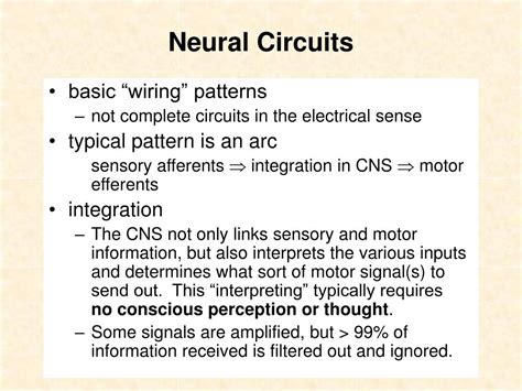 Ppt Neural Circuits Powerpoint Presentation Free Download Id1709938