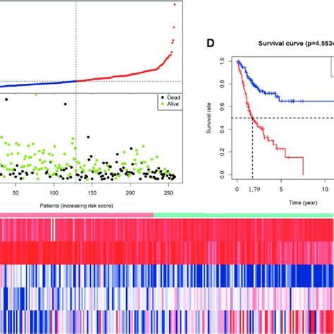 5 Mrna Risk Score Analysis Of 257 Oscc Patients A 5 Mrna Risk Score Download Scientific