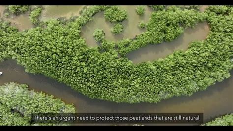 Ewkte2uj Michael Netzer