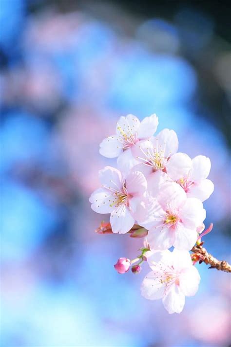 Гоё дэлгэцний зураг Added A New Photo Гоё дэлгэцний зураг