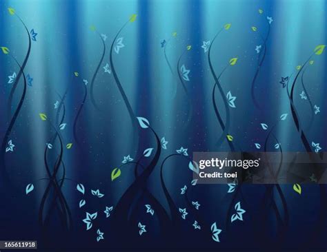 60 Bluegrass Vector High Res Illustrations Getty Images