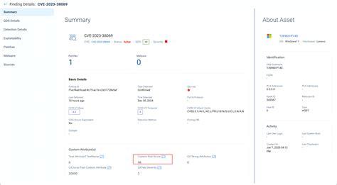 View Findings Using Custom Attributes