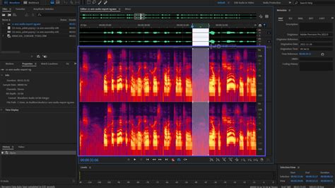 6 Adobe Audition Tools To Help Premiere Pro Editors Save Time And Effort