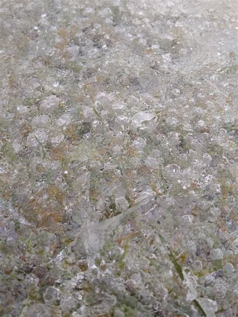 Grass Layer Stock Image Image Of Field Spring Texture 15167393