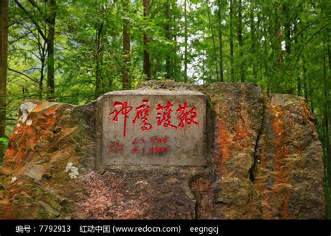 神鹰护鞭景区石刻高清图片下载 红动中国