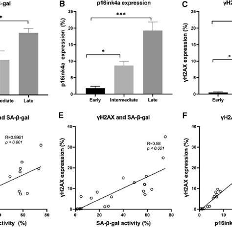 Detection And Quantification Of Senescent Cells By Flow Cytometry