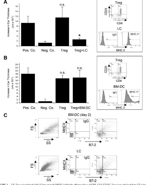 Figure 2 From Tissue Specific Dendritic Cells Uv Induced Regulatory T