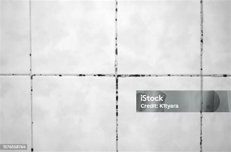 욕실의 타일에 곰팡이가 생깁니다 흑백 사진 욕실에 검은 곰팡이가 있습니다 흑백 사진입니다 0명에 대한 스톡 사진 및 기타 이미지 Istock