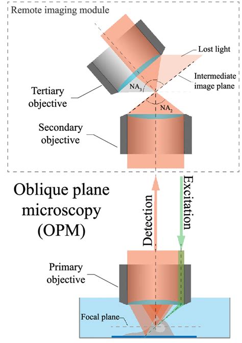 Diagram Of An Oblique Plane Microscope Opm The Fluorescence Excited
