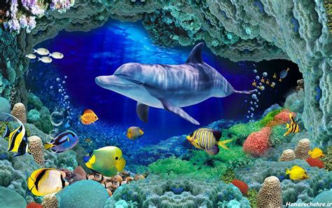 21 عکس از دریا با کیفیت بالا که رویاها را زنده می کند