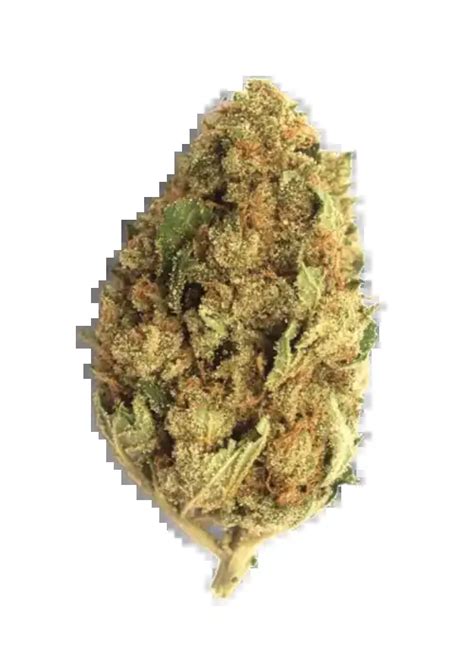 Lambs Bread Cannabis Strain Information Growdiaries