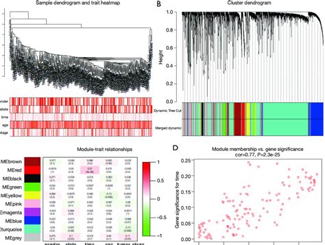 Construction Of A Weighted Co Expression Gene Network And Its Download Scientific Diagram