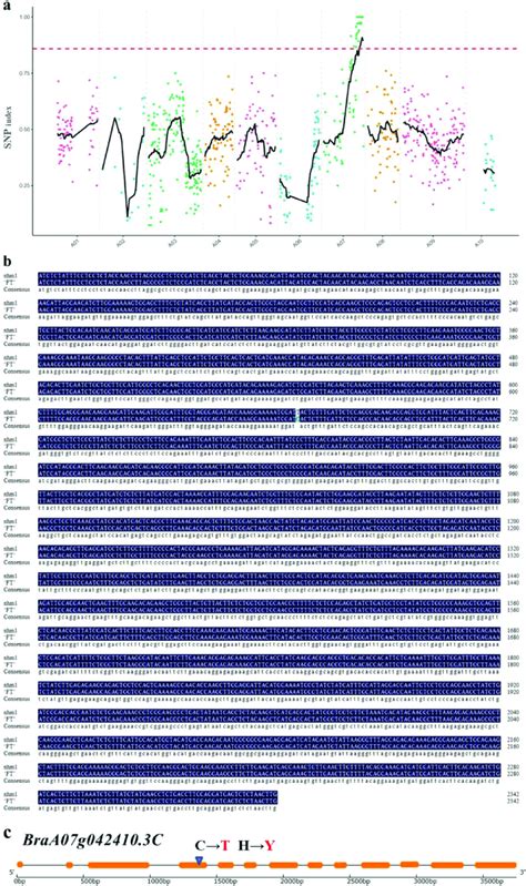 Identification Of The Nhm1 Candidate Gene A Snp Index Plot Of 10 Download Scientific Diagram