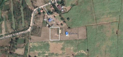 ขายทีดิน 1 ไร่ โฉนดพร้อมโอน ต วังไทร อ ปากช่อง ทำเลดี วิวสวย อากาศเยี่ยม Ennxo