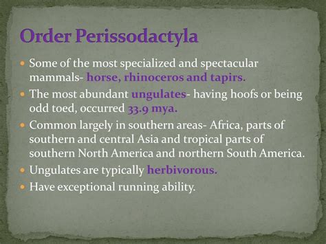 Ppt Order Perissodactyla Odd Toed Ungulates Powerpoint Presentation
