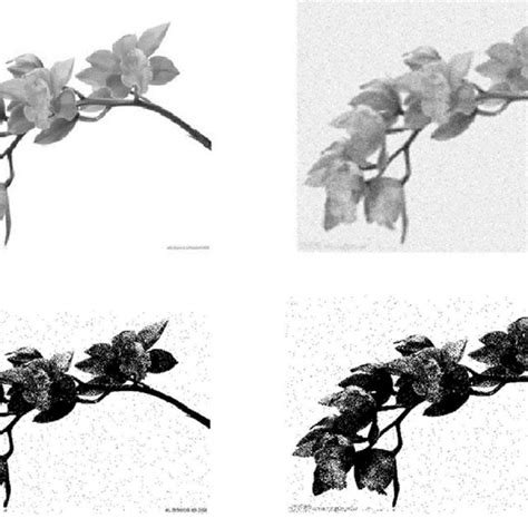 Flower Segmentation Effect Download Scientific Diagram