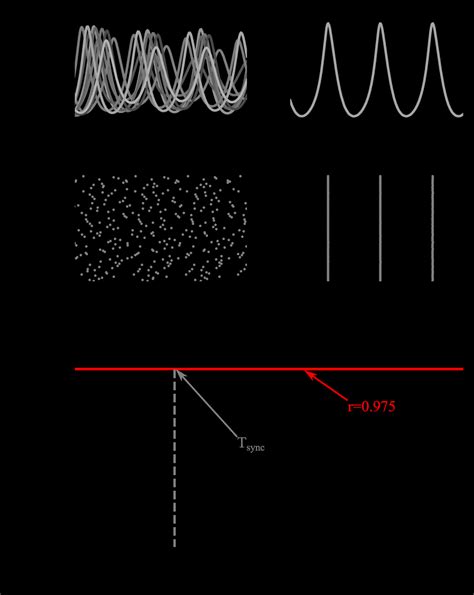 Quantifying Synchronization Speed Synchronization Times Are Calculated
