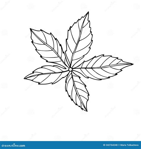 Leaves Of The Virginia Creeper Parthenocissus Planch Purple Seamless