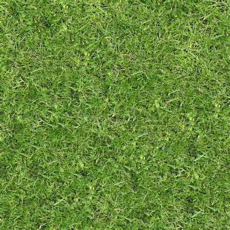 Green Grass Seamless Texture Seamless In Horizontal And Vertical