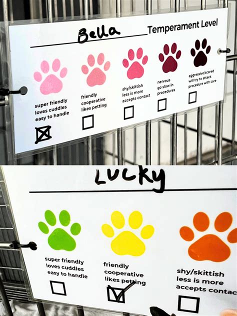 Paw Chart All 3 Colors Safety Paw Chart Vet Tech Safety Cage Card Dog