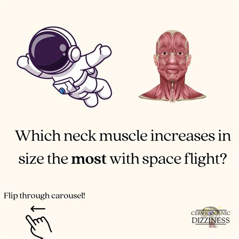 Semispinalis Capitis Is Highly Related With Increased Cross Sectional Area… Harrison Vaughan