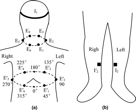 Placement Method Of Impedance Detected Electrodes Download Scientific Diagram