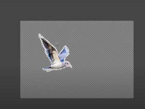 How To Remove Background In Gimp Methods Unlimited Graphic Design Service