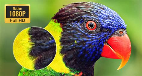 HAPPRUN G WiFi Bluetooth Native P Portable Projector With Screen Bag Lumens K