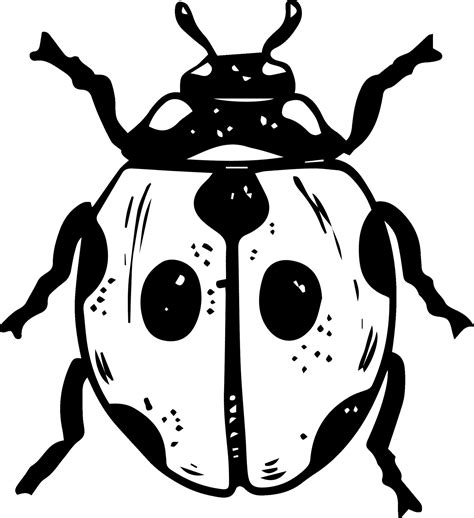 Single Sketch Style Ladybug Illustration Black Lineart Isolated On White Background 24702924