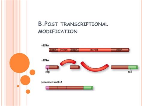 Gene Expression Pptx Programming Languages Computing