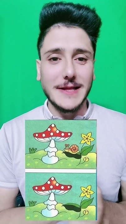 ما هو الاختلاف Youtube